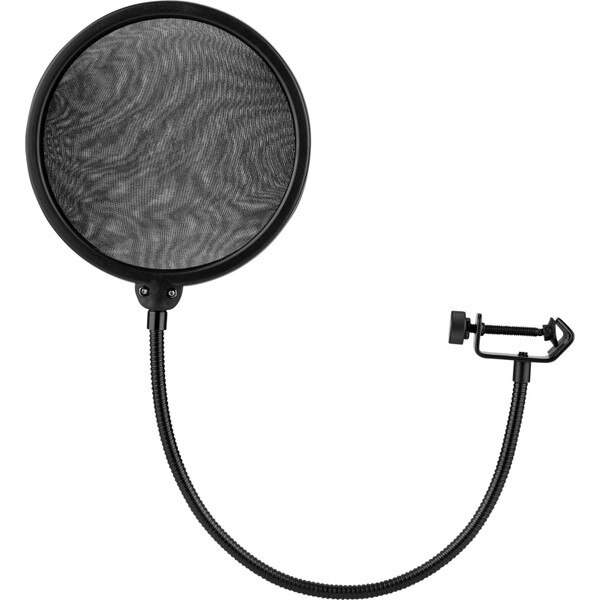 talent mic