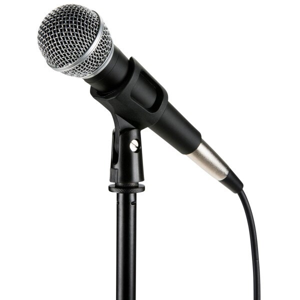 talent mic