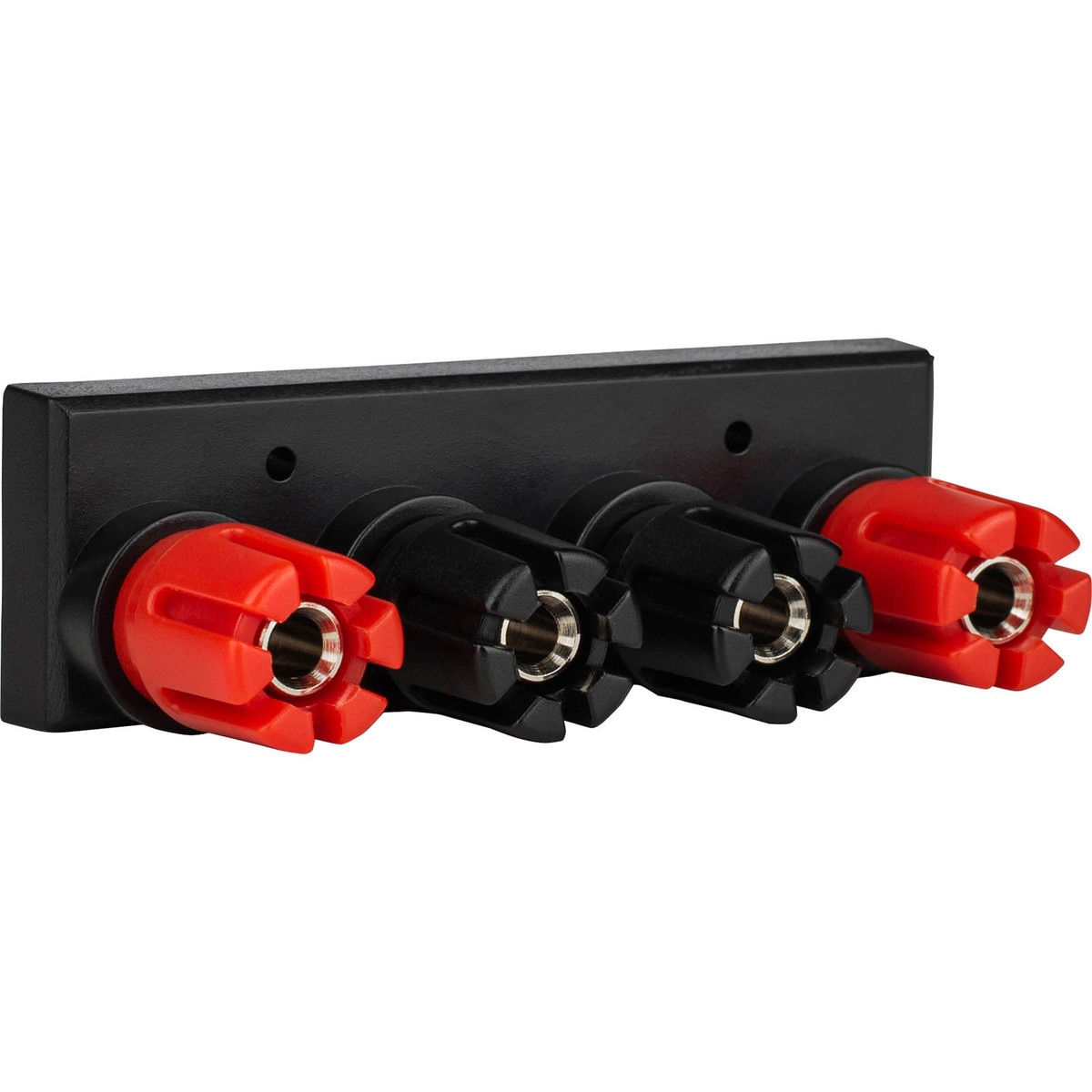 4-Way Binding Post in One Horizontal Mount for Speaker Amplifier
