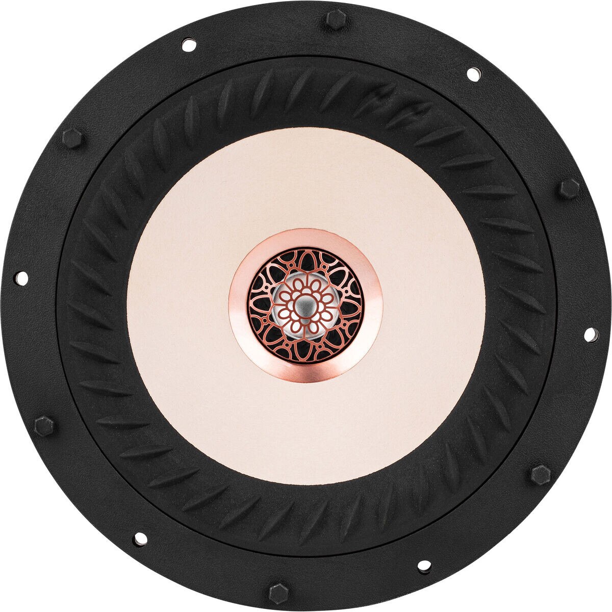Tang Band W8-2314 8" Coaxial Full-Range Woofer
