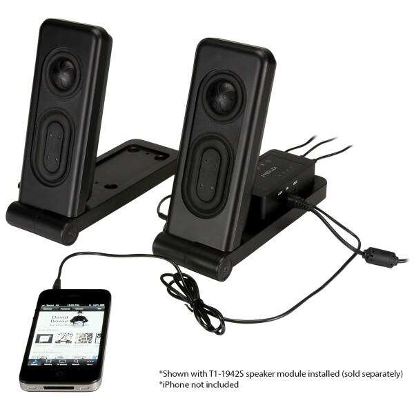 Tang Band KIT-0041 Speaker Module Mounting Kit with Amp