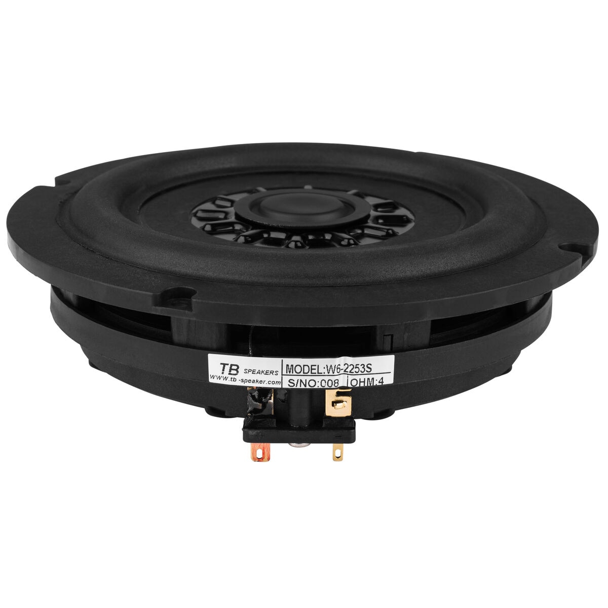 Tang Band W6-2253S 6-1/2" Low Profile Subwoofer