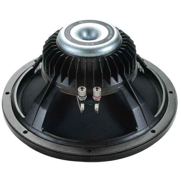 12 inch speaker driver