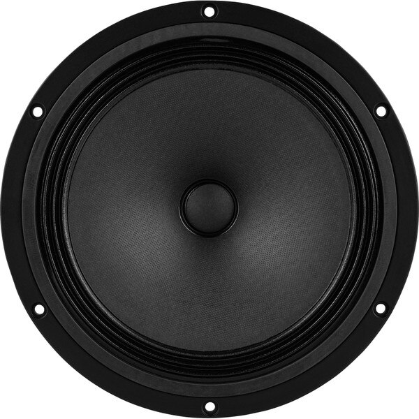 Visaton B 200 8" Full-Range Driver 6 Ohm