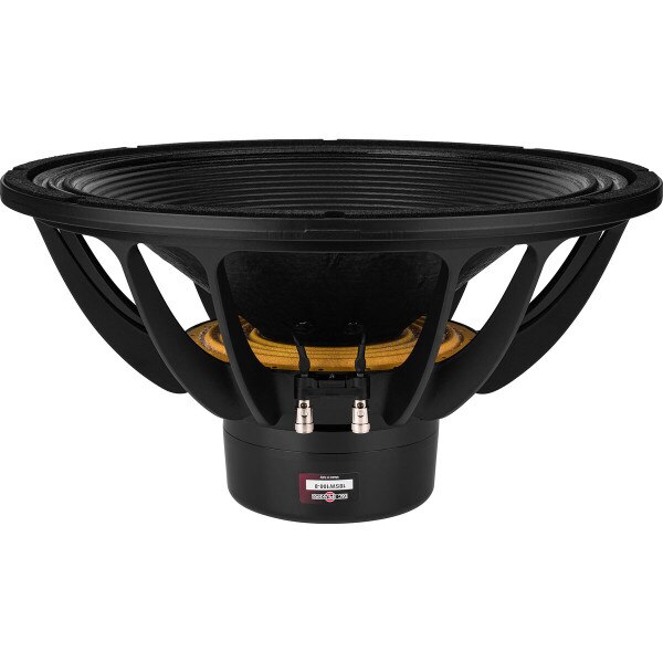 B&C 18SW100 18" Professional Neodymium Subwoofer 8 Ohm