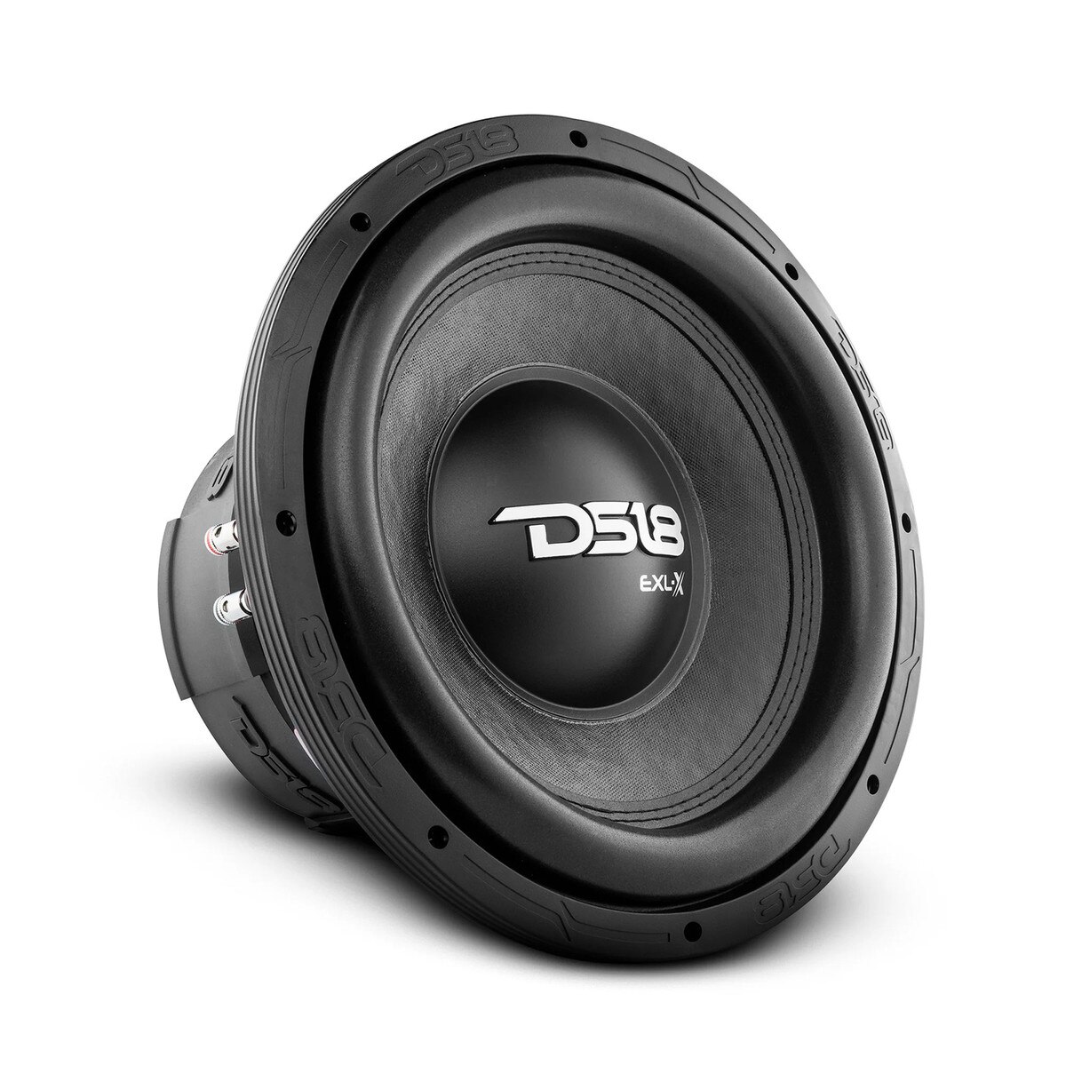 DS18 EXL-X12.2D 12" Cast Frame DVC Subwoofer 2 Ohm