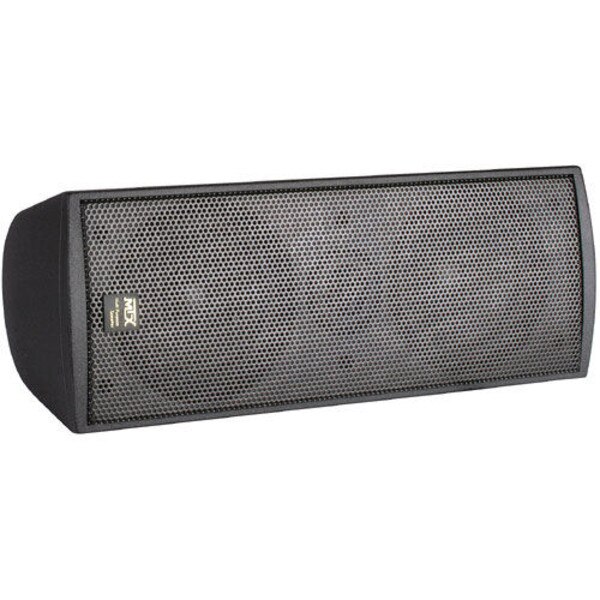 MTX MP42B Indoor/Outdoor Speaker Black